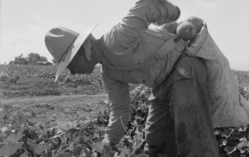 Kim Phillips-Fein | The Nation