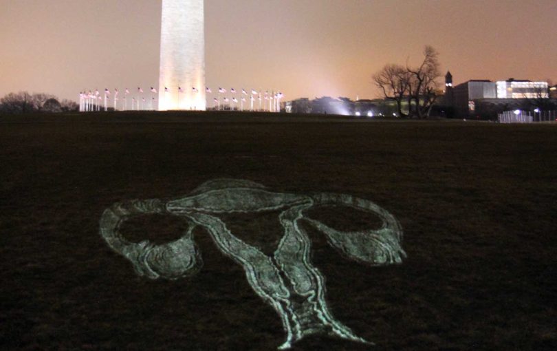 Sarah Stolar | The Nation