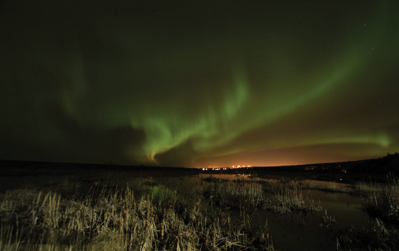 Larissa Pham | The Nation