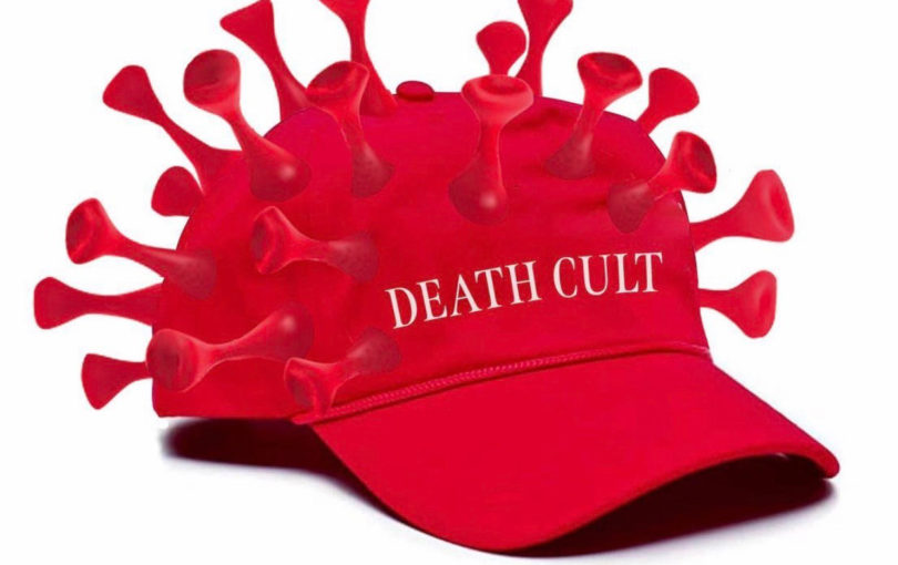 Melinda Beck | The Nation