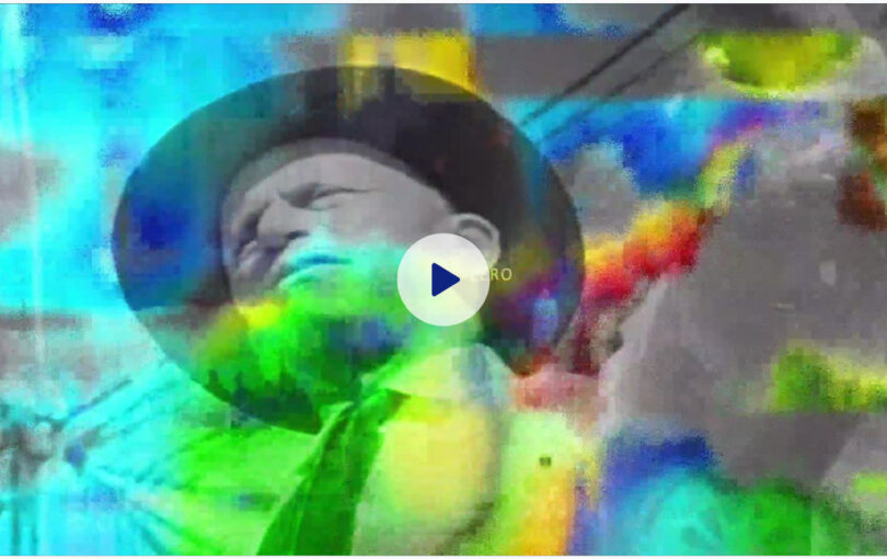 Dee Hood | The Nation