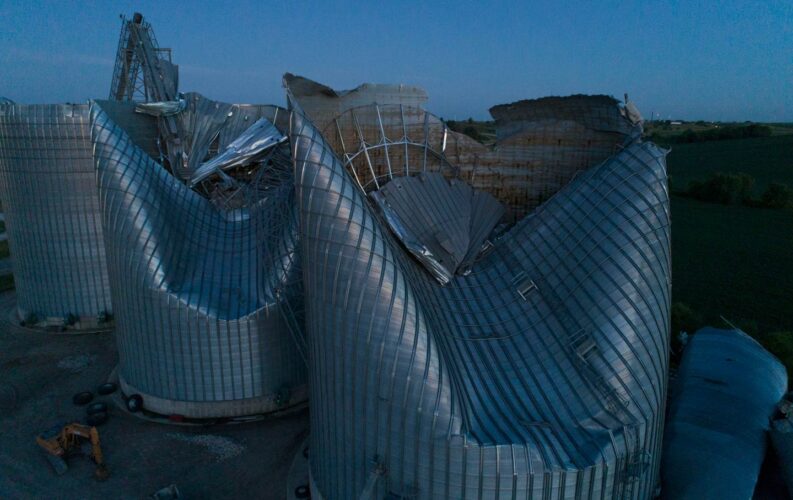 Emily Berch | The Nation