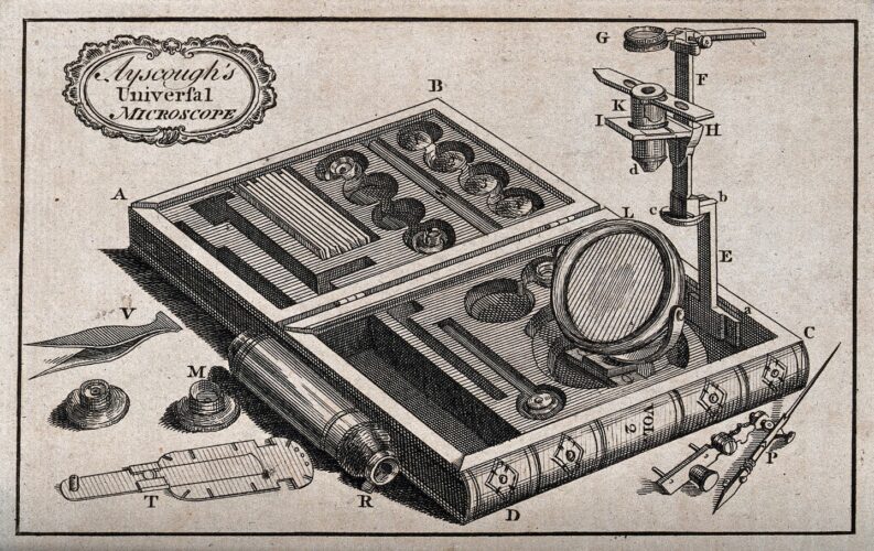 Larissa Pham | The Nation