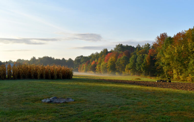 Molly Bolick | The Nation