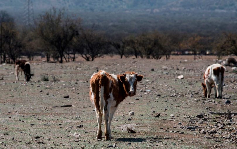 Sandali Handagama | The Nation