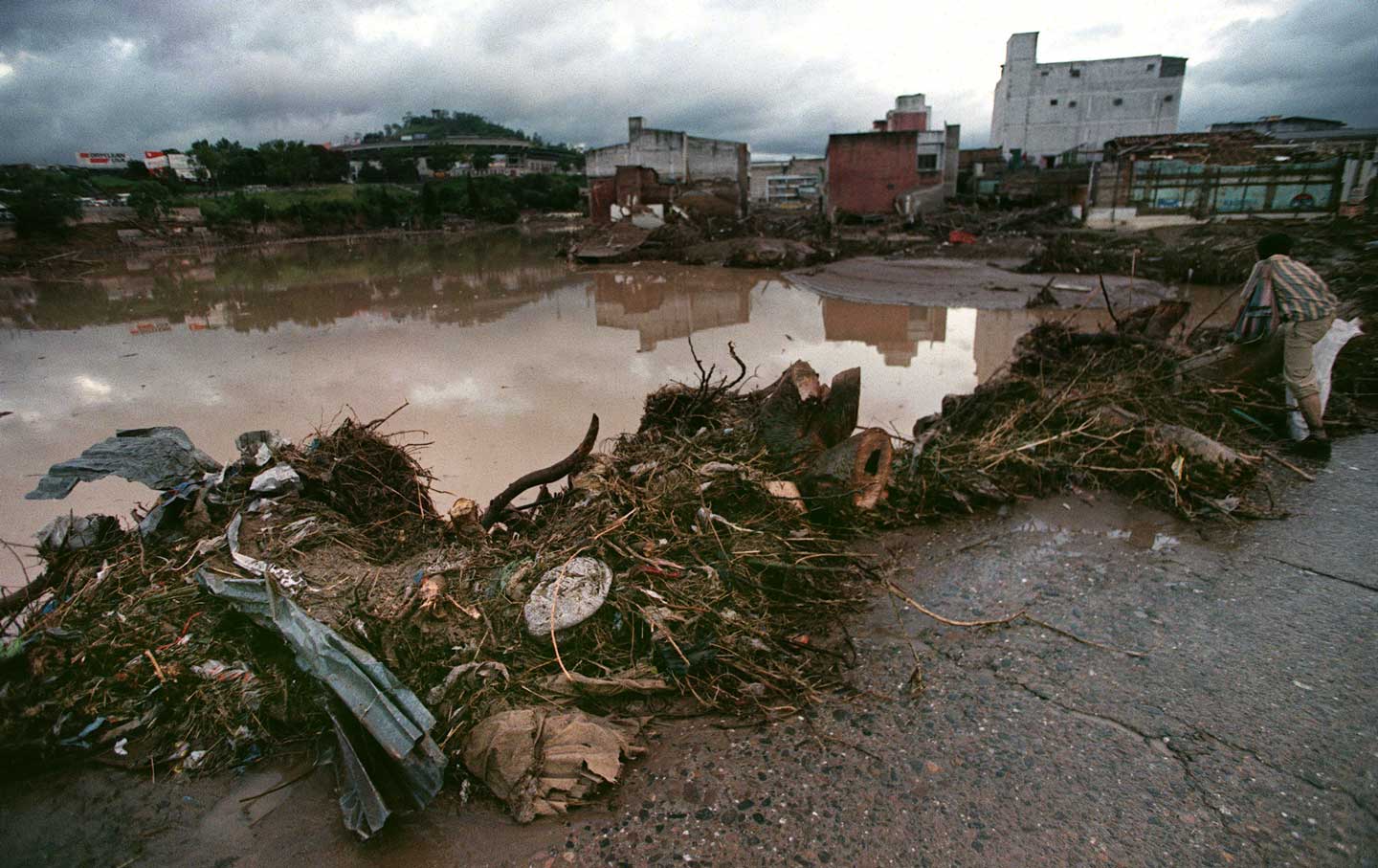 A Tale of 2 Climate Migrants | The Nation
