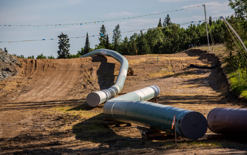 Daniel Sherrell | The Nation