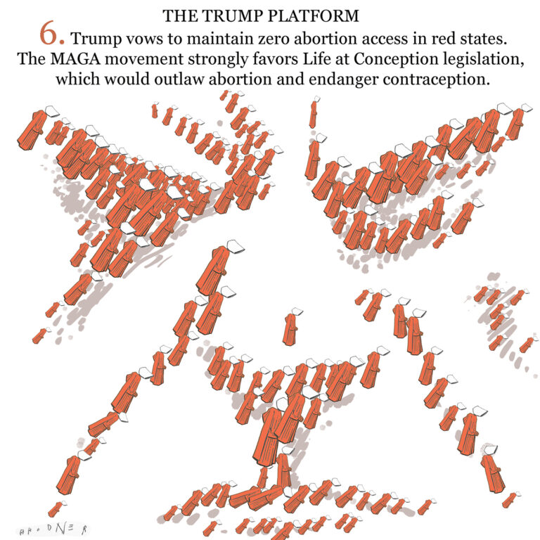 The Trump Platform | The Nation