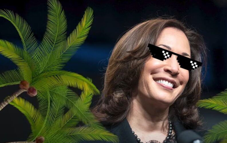 Can Harris and Walz Meme Their Way to the White House? | The Nation