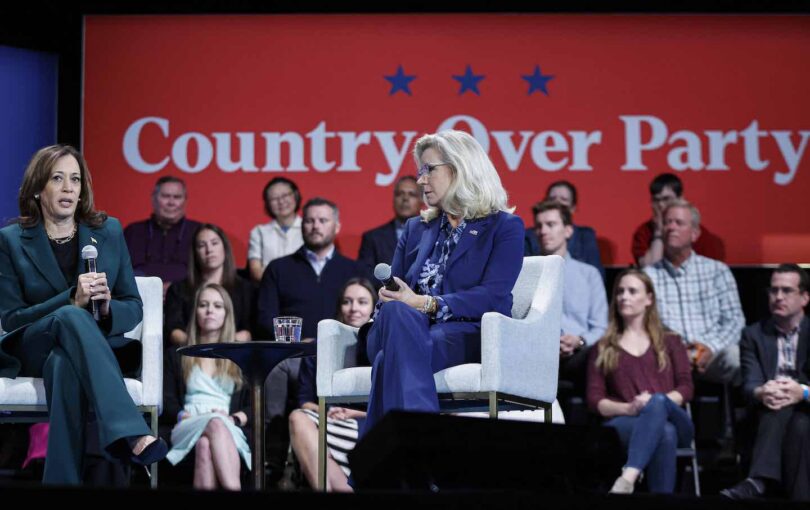 Liz Cheney Was an Electoral Fiasco for Kamala Harris | The Nation