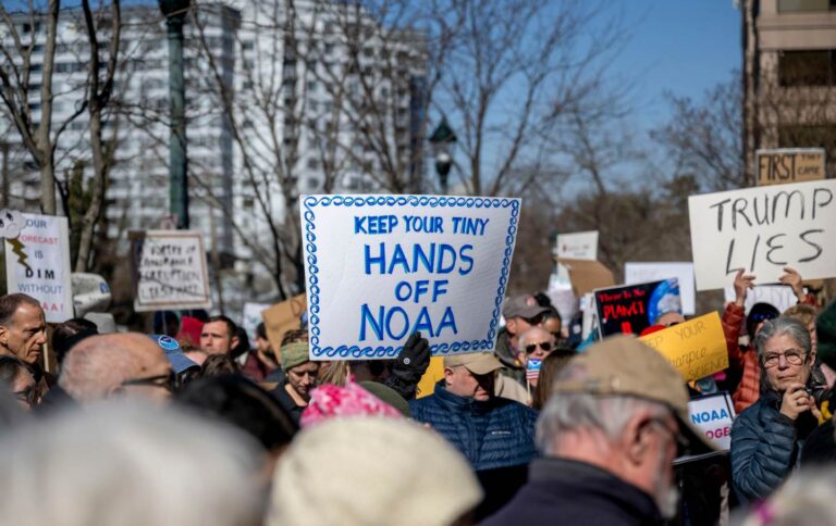 Extinction Rebellion Wants to Reclaim the Port of Rotterdam | The Nation