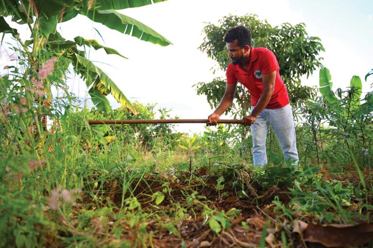 The Power and Symbolism of Brazil’s Landless Workers’ Movement | The Nation