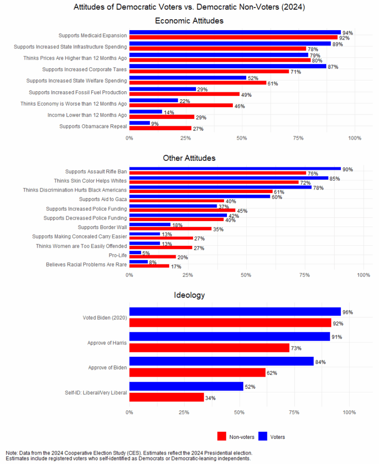What Caused Democrats’ No-Show Problem in 2024? | The Nation