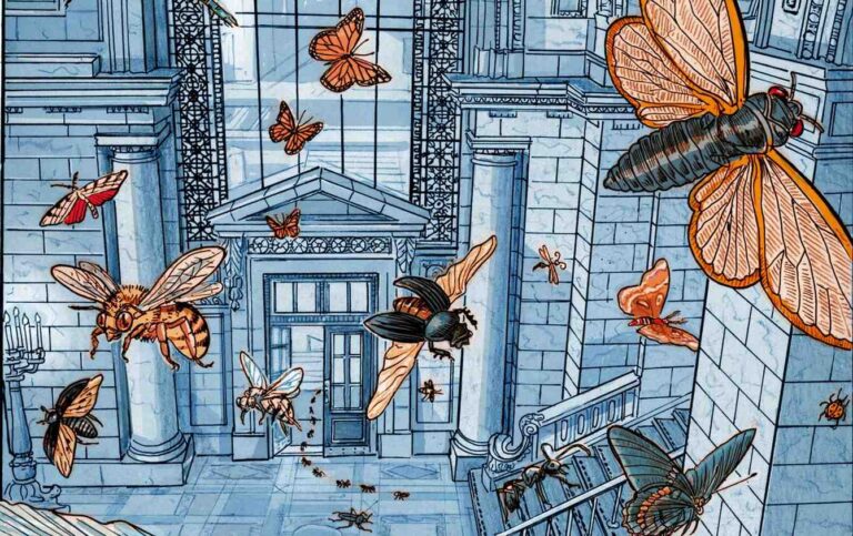 Peter Kuper’s Graphic Novel, Where the Insects Draw Us | The Nation