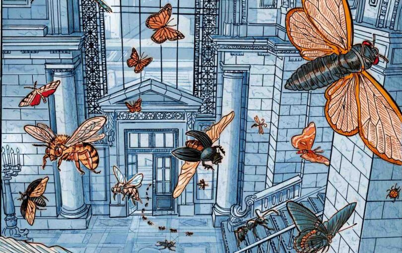 Peter Kuper’s Graphic Novel, Where the Insects Draw Us | The Nation